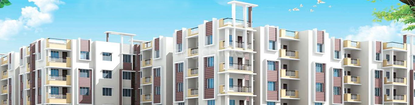 Book / Hire Crest for Events in Best Prices - StarClinch