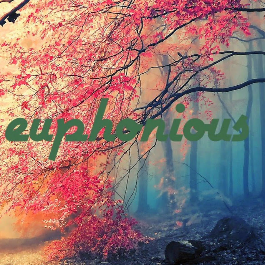 Book / Hire LIVE BAND Euphonious for Events in Best Prices - StarClinch